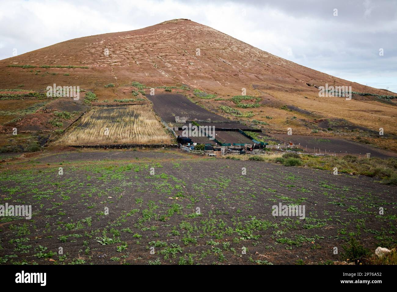 Petite exploitation et champ couvert de cendre de picon volcanique pour ...