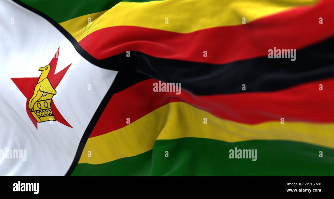 Drapeau national du Zimbabwe. Bandes horizontales de vert, jaune, rouge et noir. Triangle blanc ...