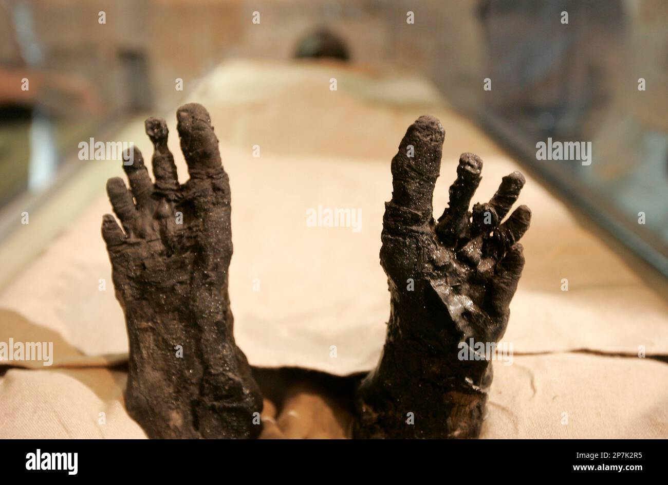 In this photo taken on Nov. 4, 2007, the feet of King Tutankhamun are ...