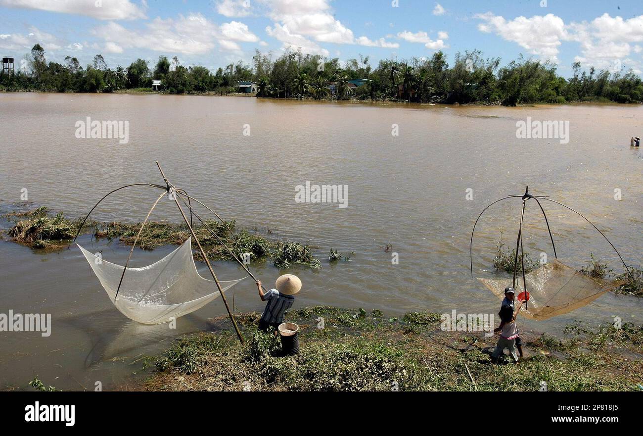 People catch fish in flooded rice field in Quang Nam Province, Vietnam ...