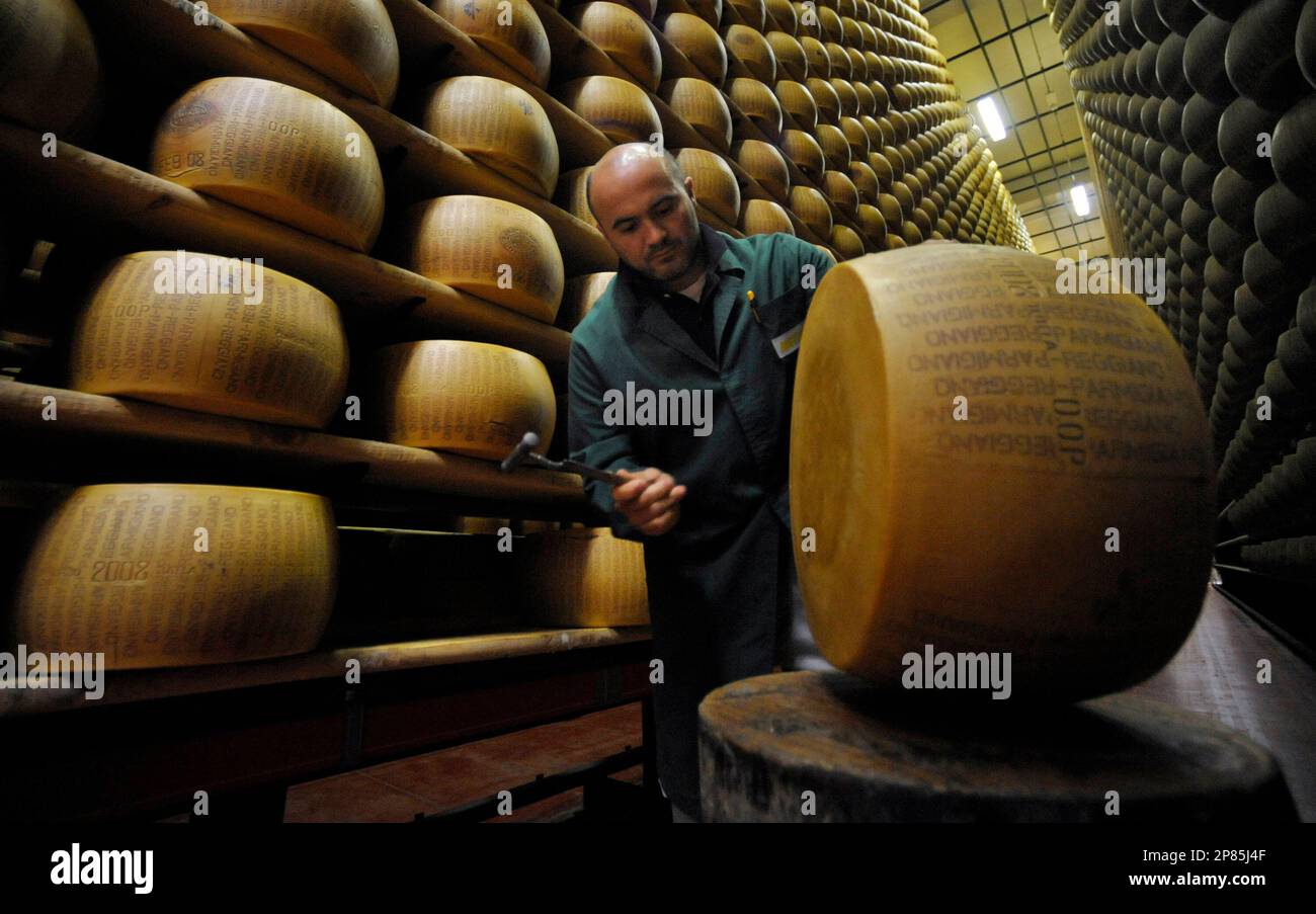 Quality control employee Fabrizio Giberti inspects a Parmigiano ...