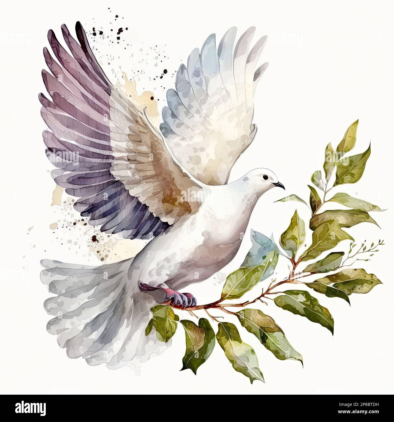 Colombe symbole de paix Banque de photographies et d’images à haute résolution - Alamy