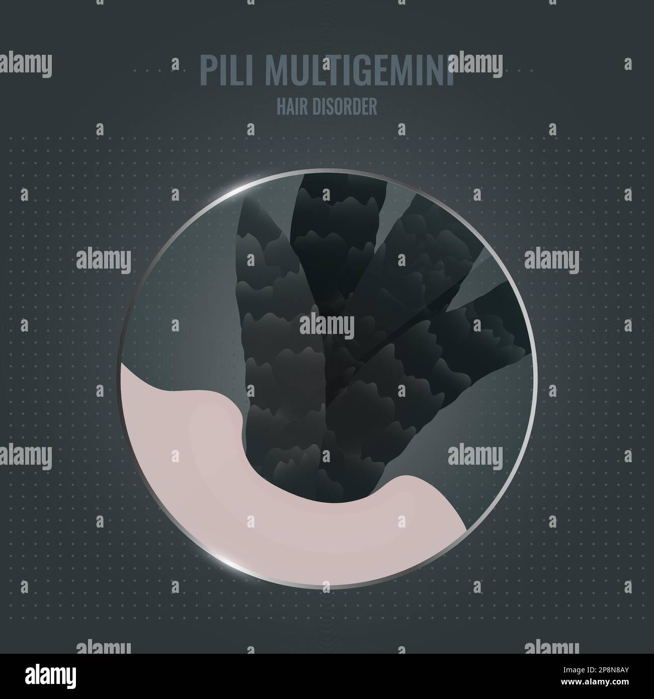 Pili pili Banque d'images vectorielles - Alamy