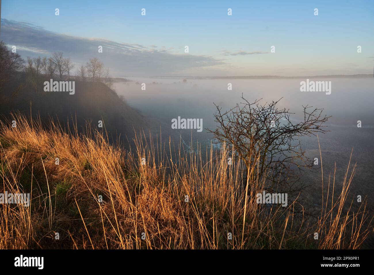 Arbres poussant sur l'escarpement au-dessus de la vallée de la Misty de ...