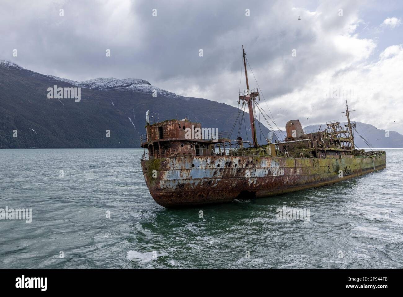 Épave du capitaine de MV Leonidas, un cargo qui a couru en échouant sur ...