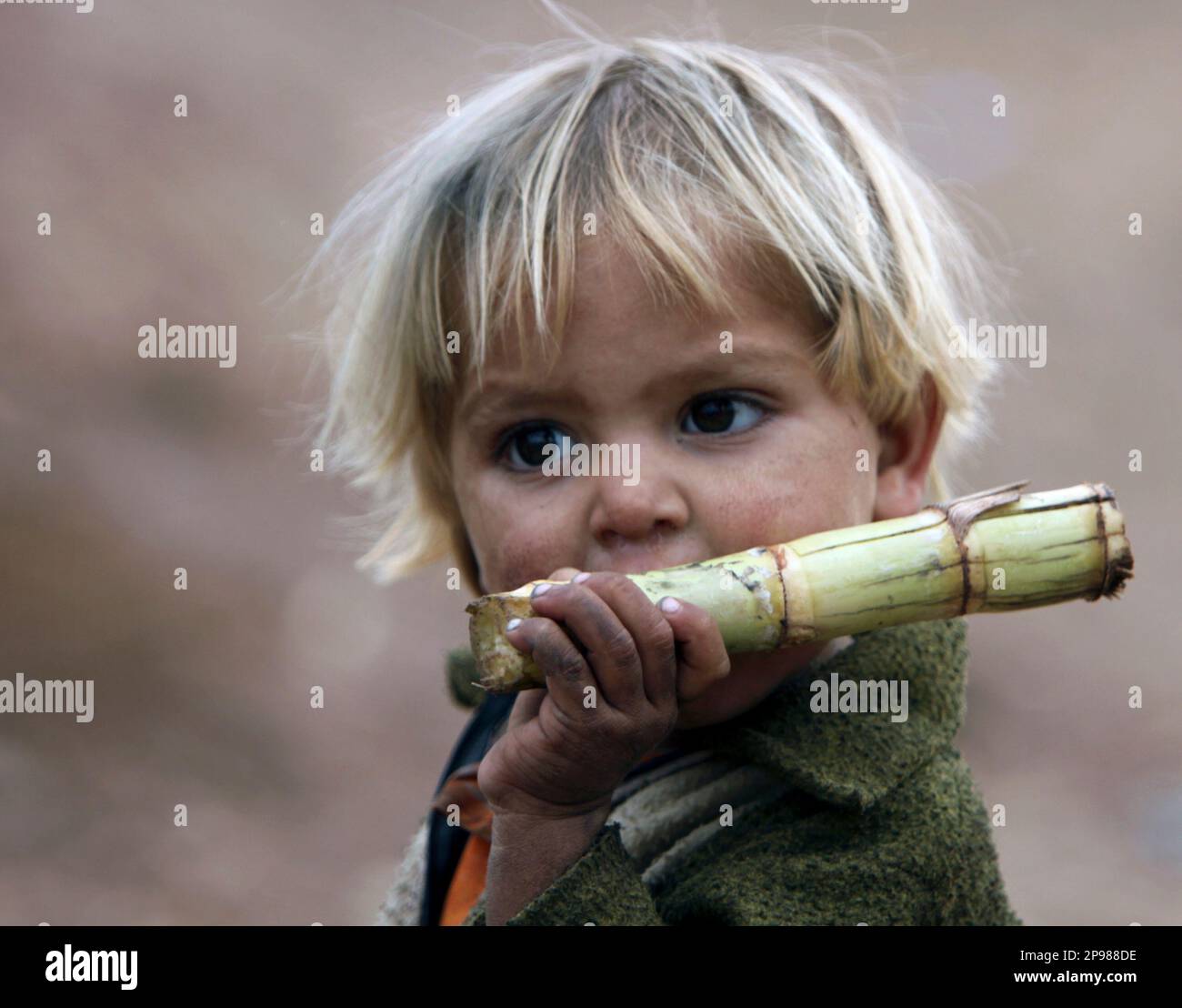 A Pakistani child from the tribal region of Bajur eats a sugar cane at ...