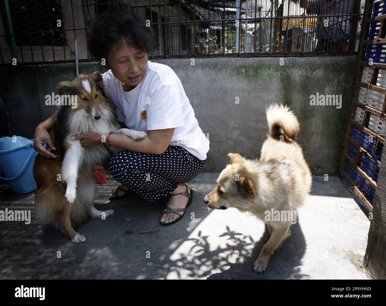 Chen Yunlian plays with dogs she says were rescued from an earthquake ...