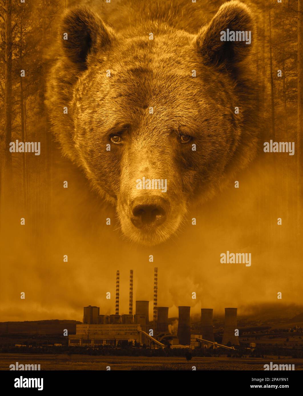 Impacto de la contaminación Banque de photographies et d’images à haute ...