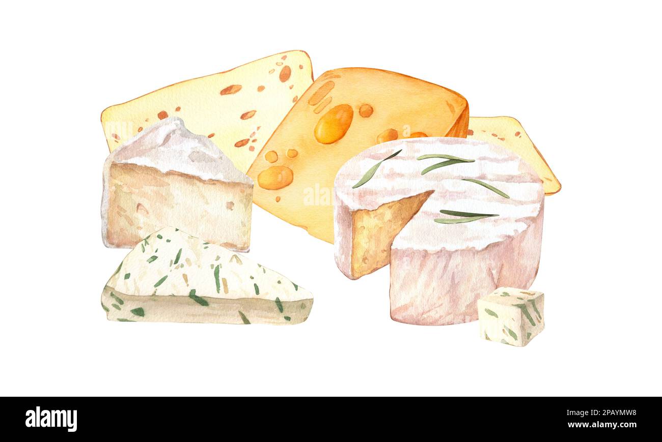 Fromages avec des morceaux coupés aquarelle image. Illustration de brie ...