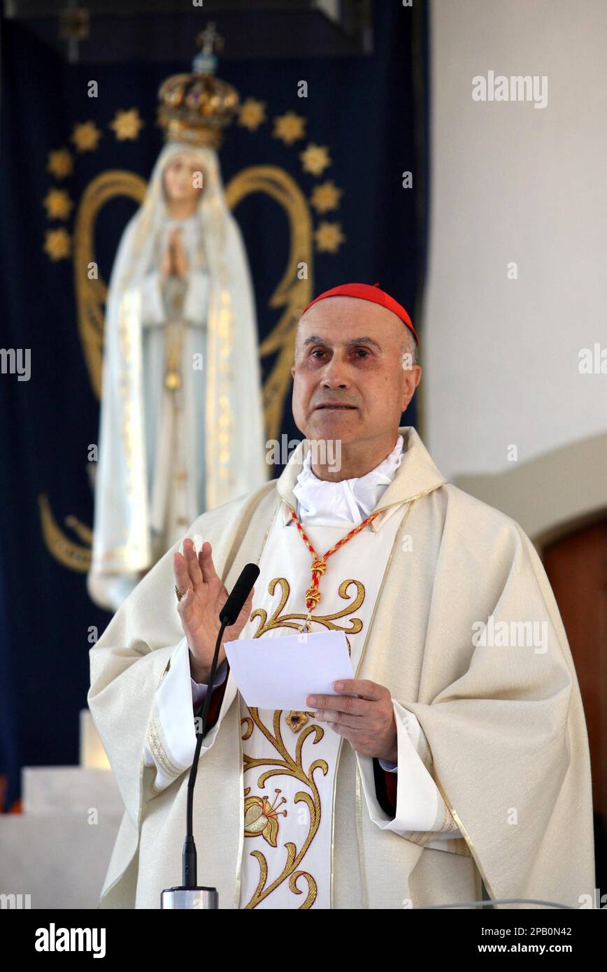 Cardinal Tarcisio Bertone, the Vatican's secretary of state, standing ...
