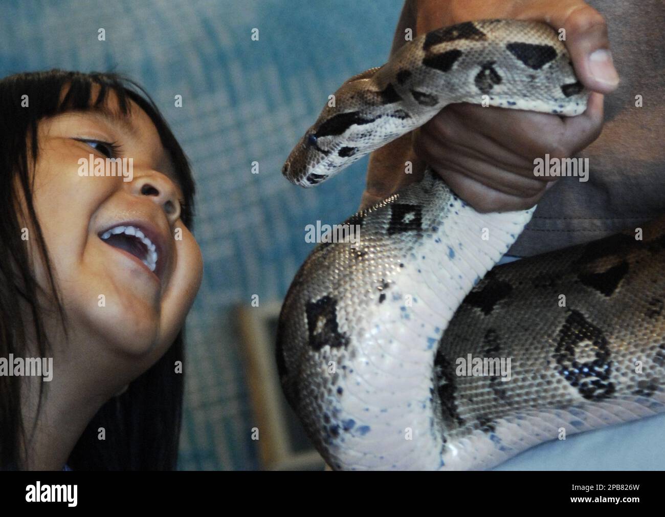 Joe Acosta's daughter, Elyse Acosta, 4, says hello to one of the larger ...
