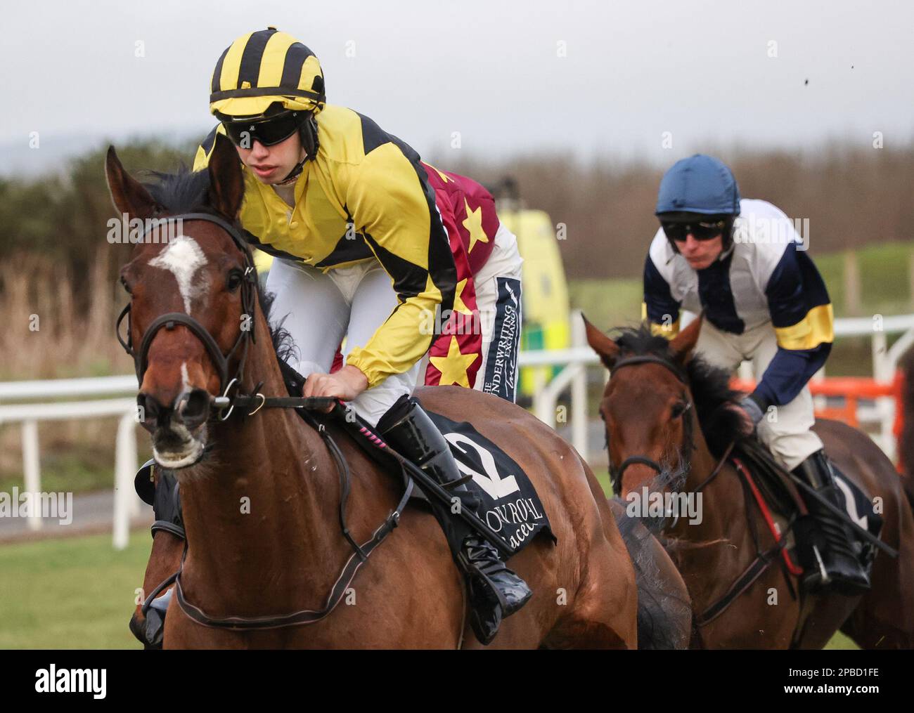 2023 vers le bas Royal Racecourse Lisburn Irlande du Nord. 24 janvier ...