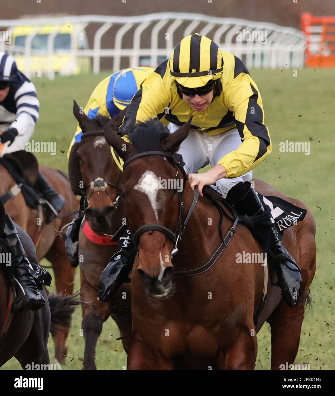 Richard condon sur garrai phaidin Banque de photographies et d’images à ...