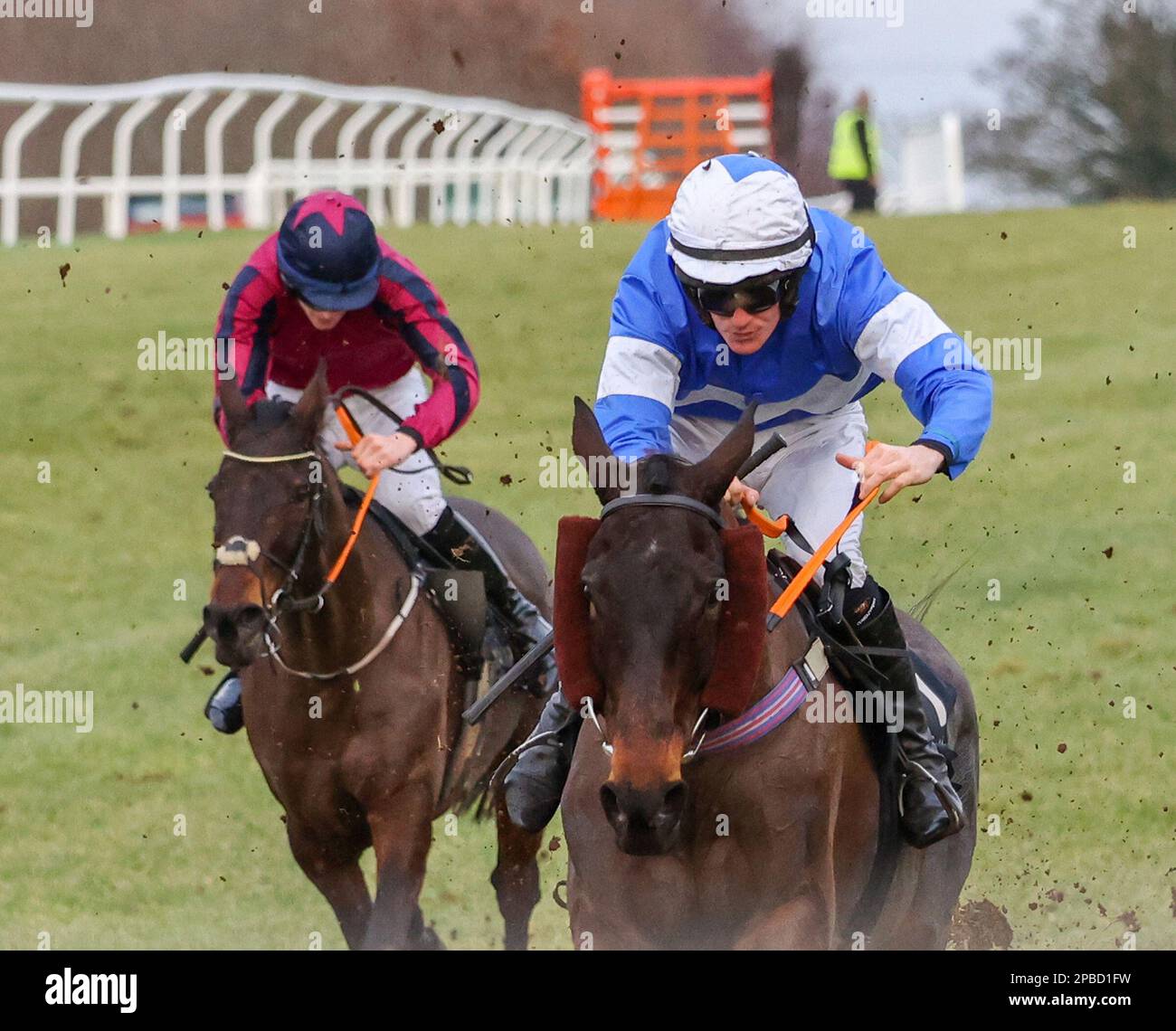 2023 vers le bas Royal Racecourse Lisburn Irlande du Nord. 24 janvier ...