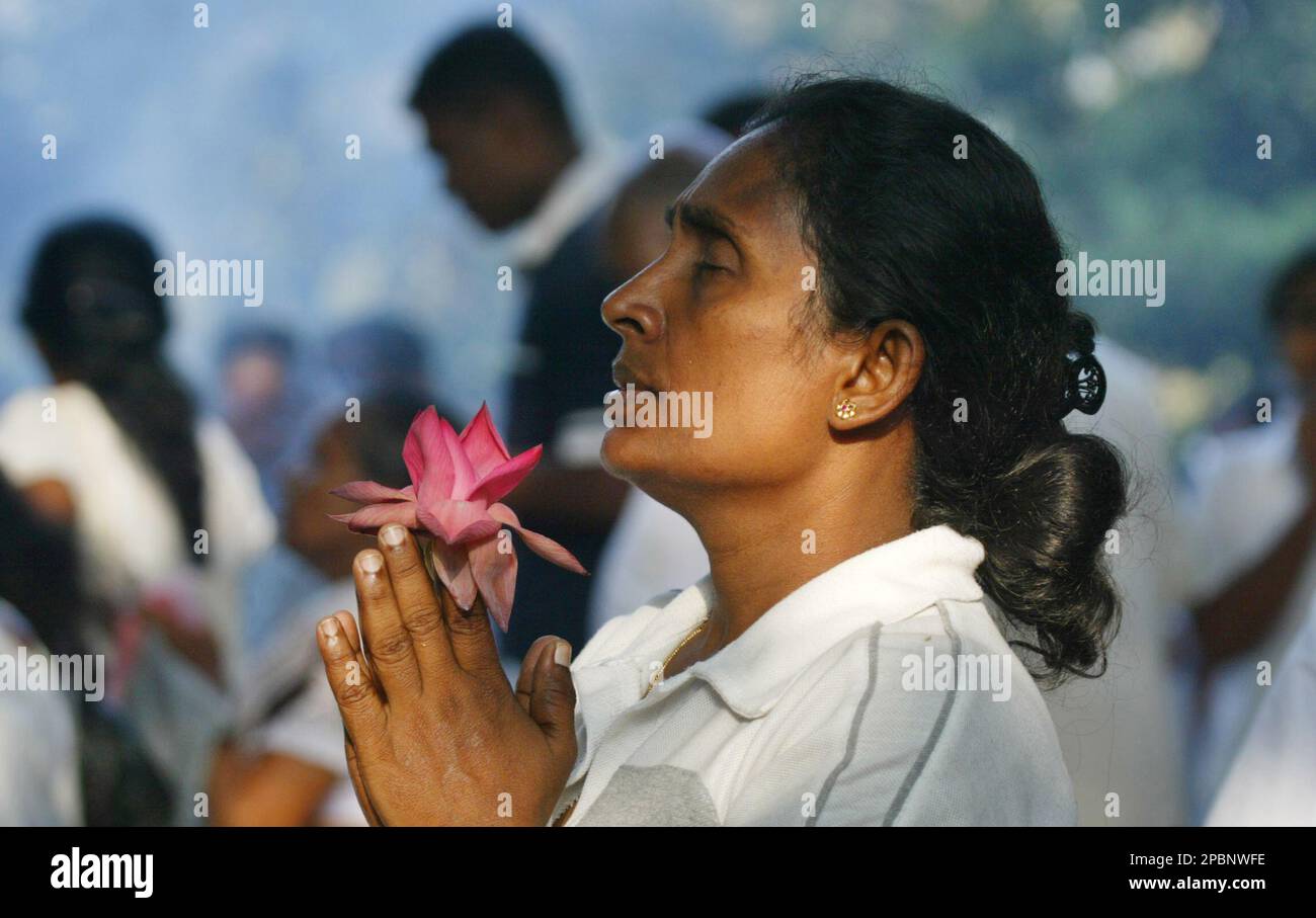 A Sri Lankan Buddhist devotee offers full moon day rituals at the ...