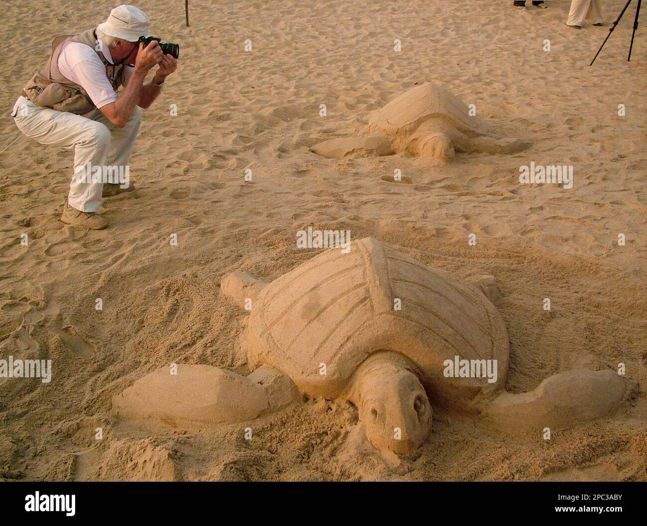 A tourist takes pictures of a sand art of Olive Ridley Turtles created ...