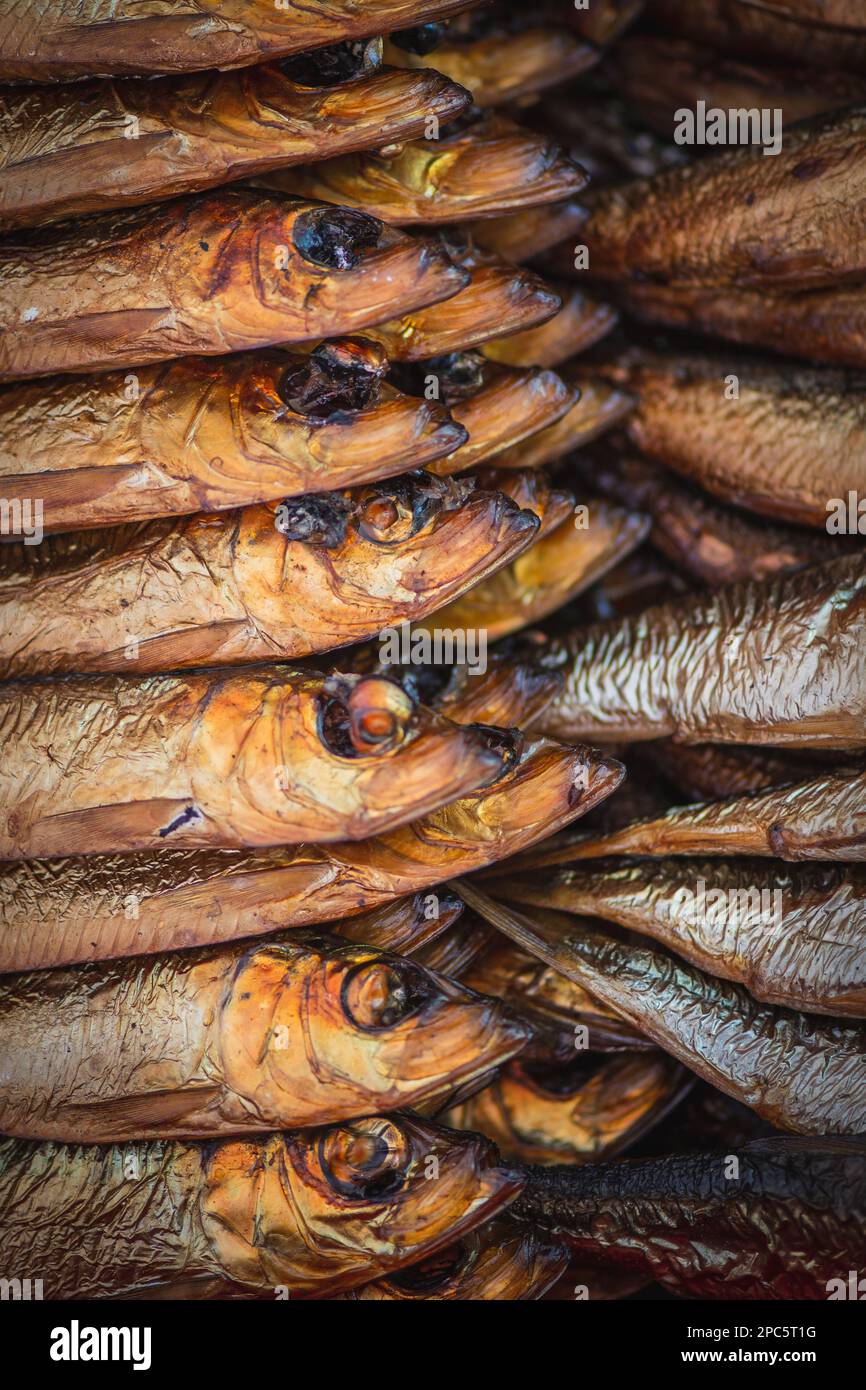 Poisson clupeidae Banque de photographies et d’images à haute ...