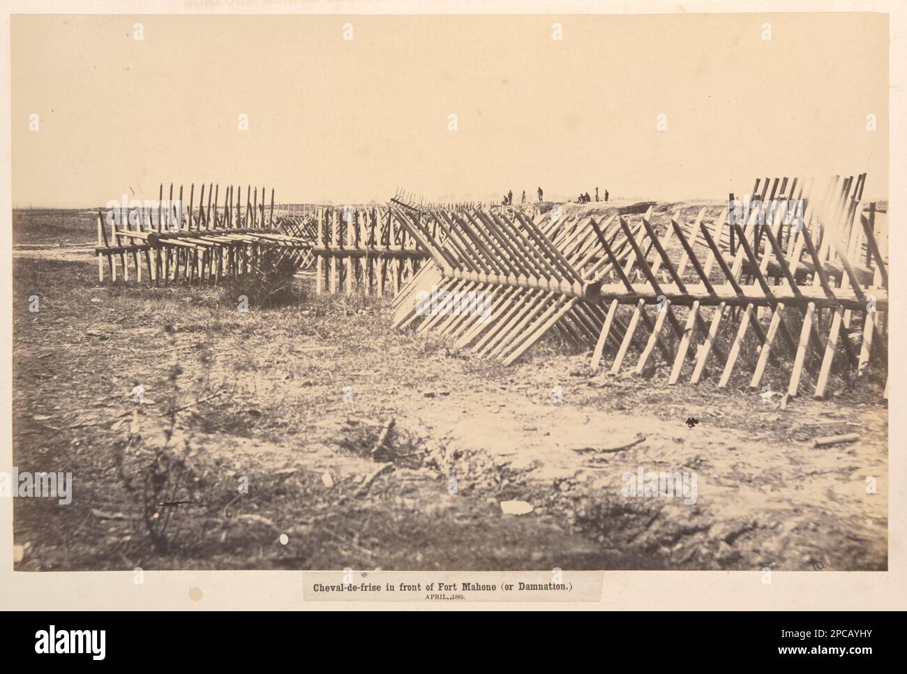 Frise de cheval Banque de photographies et d’images à haute résolution ...