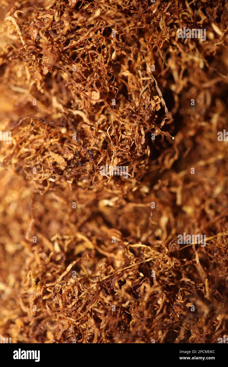 Tabac à rouler gros plan grande taille haute qualité photos de stock ...