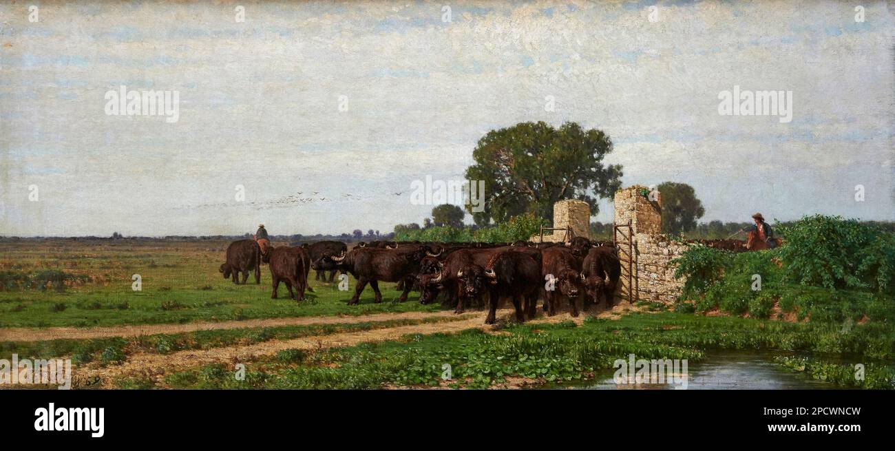 Filippo ricci Banque de photographies et d’images à haute résolution ...