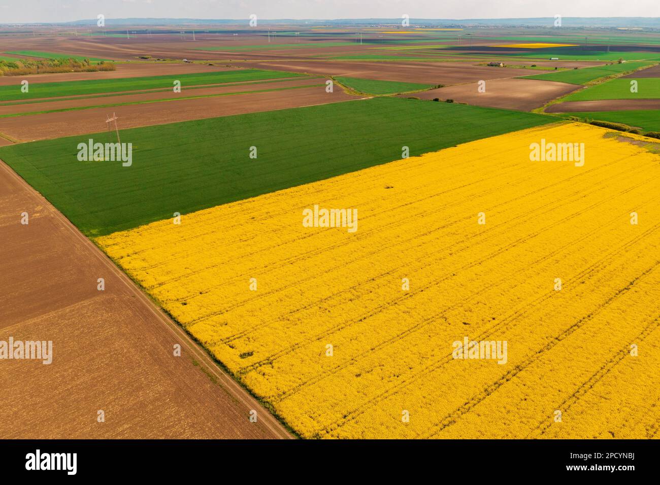 Champ de colza vue aérienne au printemps Banque de photographies et d ...