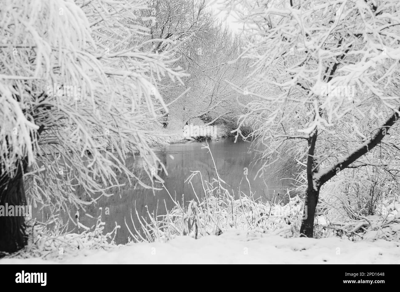 Paysage de janvier Banque d'images noir et blanc - Alamy