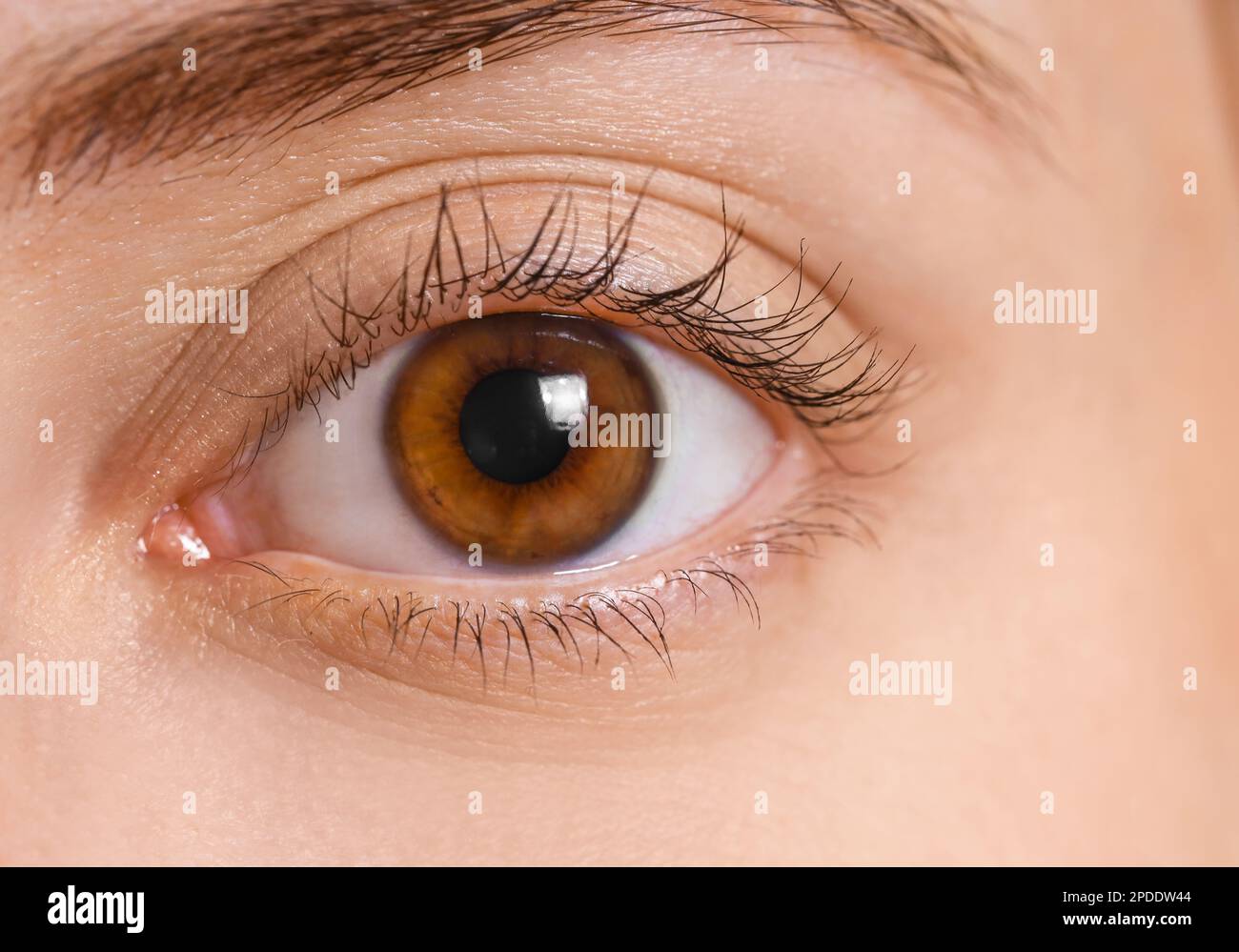 Fille aux yeux noisette bruns Banque de photographies et d’images à ...