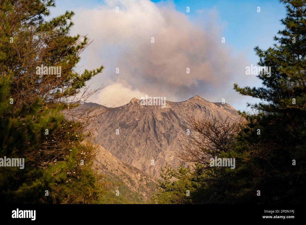 Sakurajima, préfecture de Kagoshima, Japon. 14th mars 2023. L'éruption ...