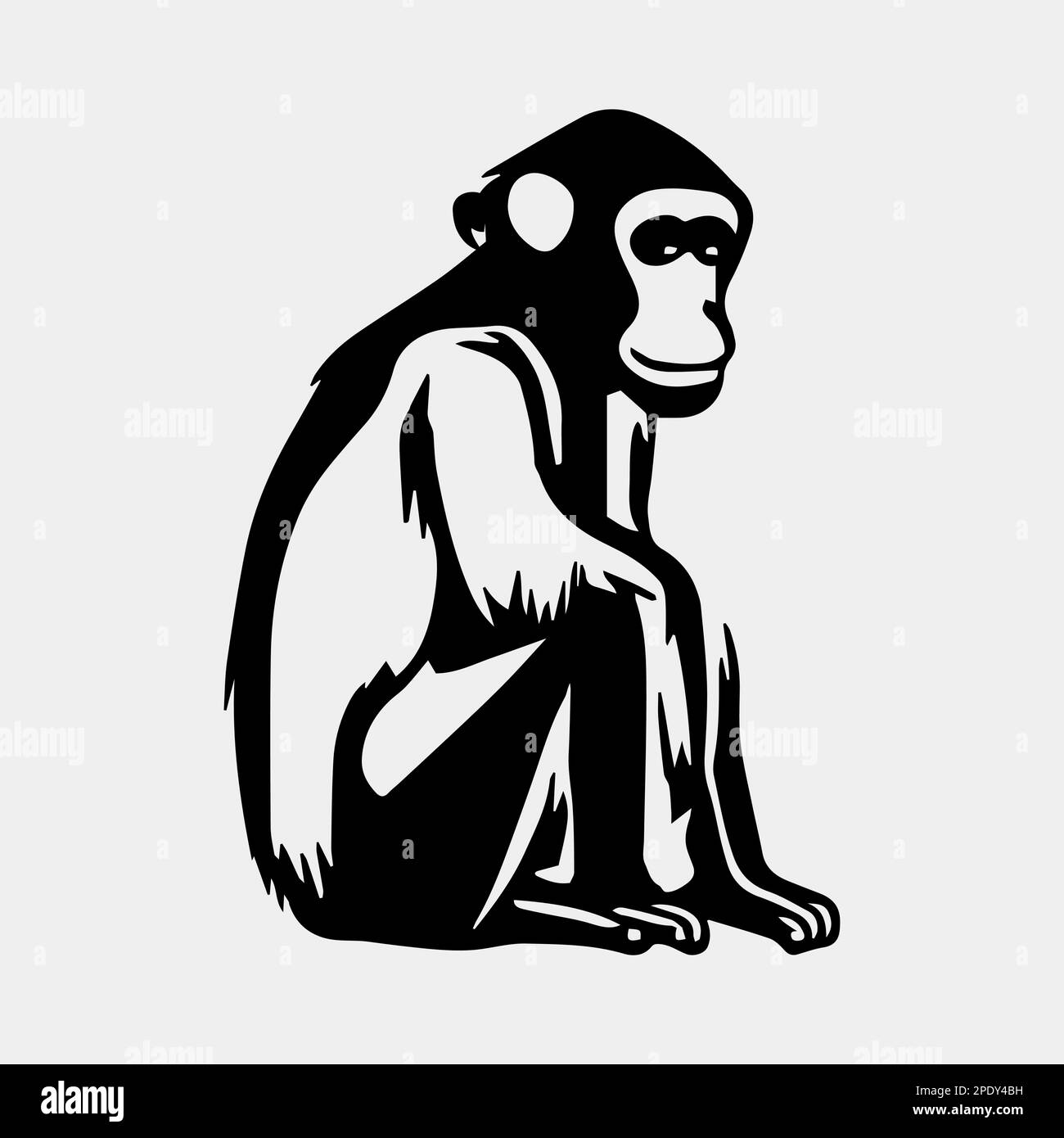 Singe dessin noir et blanc Banque d'images noir et blanc - Alamy
