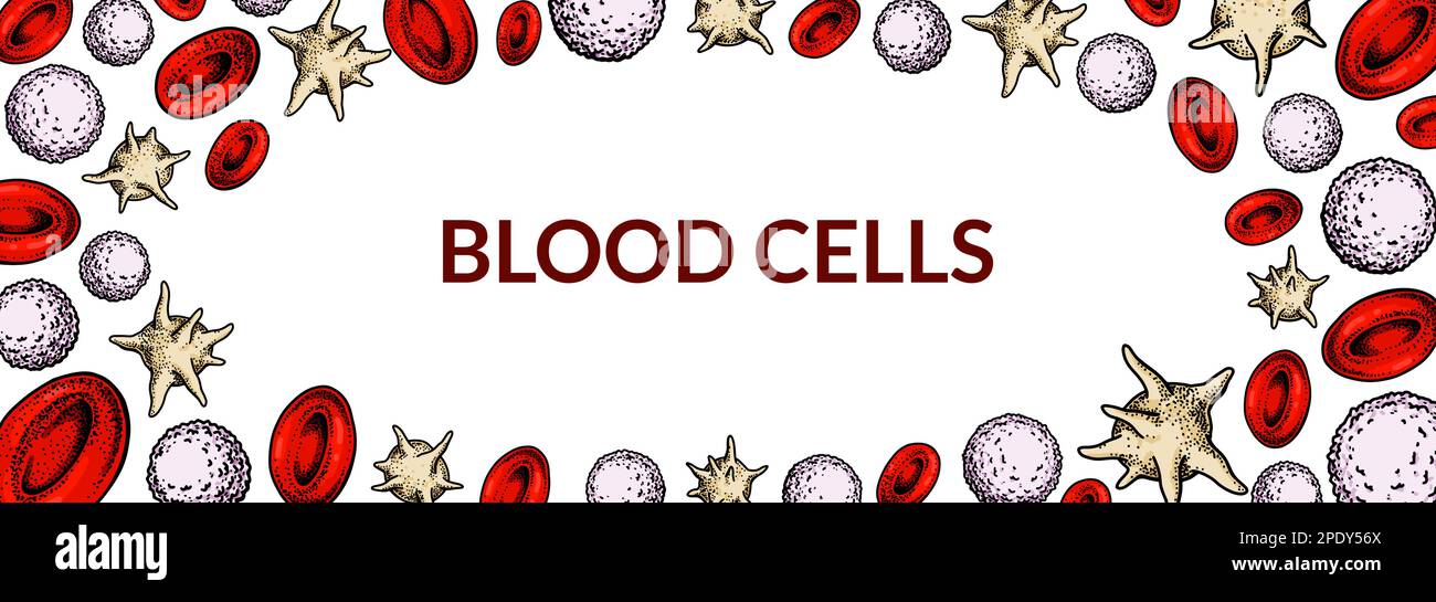 Arrière-plan des cellules sanguines. Conception de tests sanguins ...