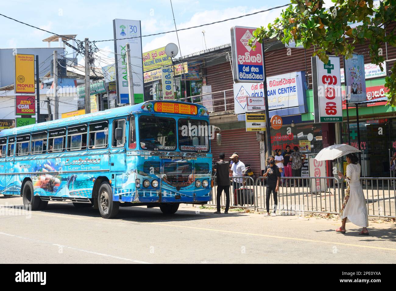 Sri lankan bus driver sri Banque de photographies et d’images à haute ...
