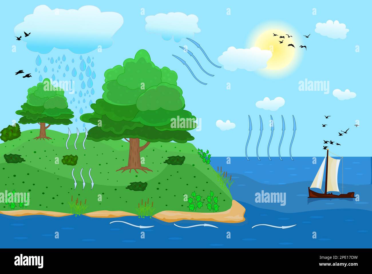 Cycle de l'eau dans la nature. Cycle de circulation et condensation d ...