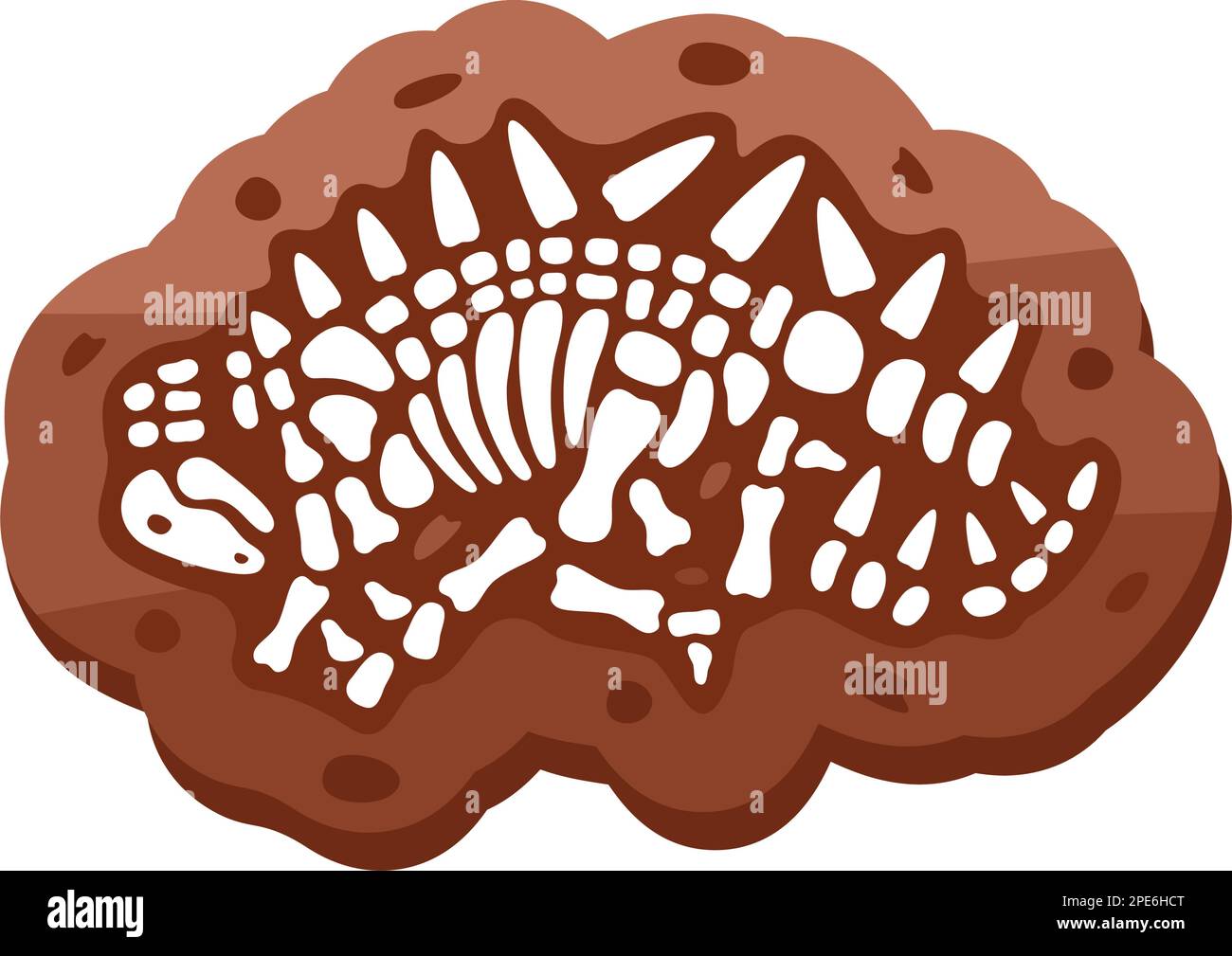 Squelette fossile de Kentrosaurus. Ossements fossiles de Kentrosaurus ...
