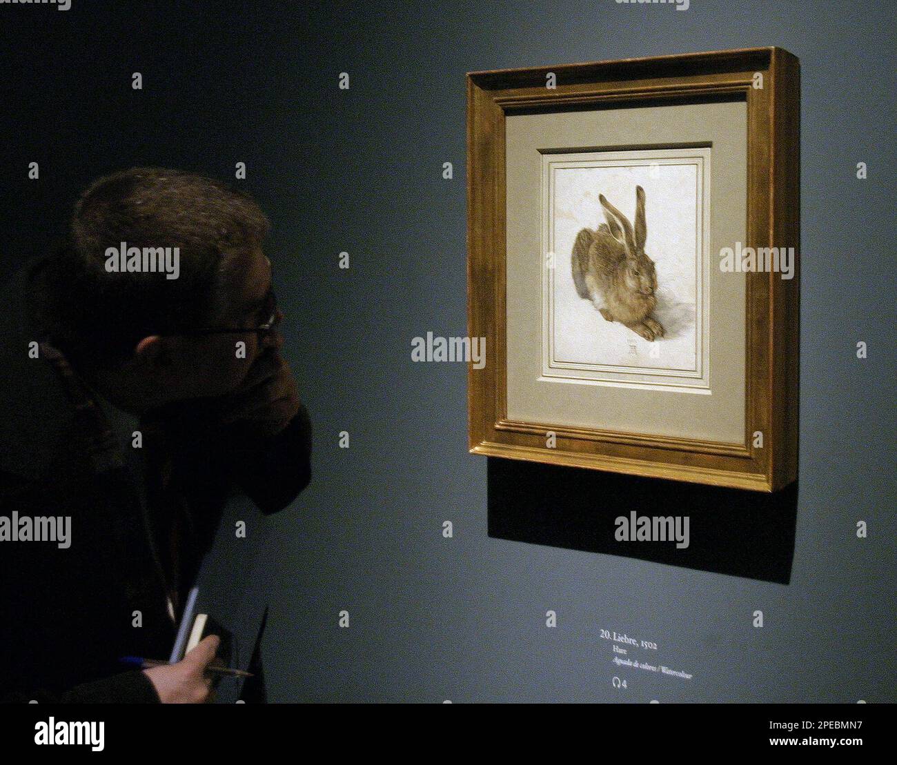 A journalist looks at the 'Hare' at the Albrecht Duerer exhibition at ...