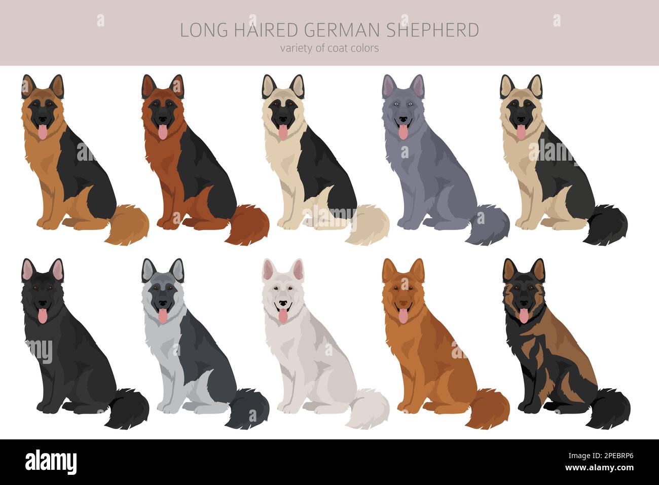 Snood Cocker Personnage De Dessin Animé Vectoriel Chien De Berger ...