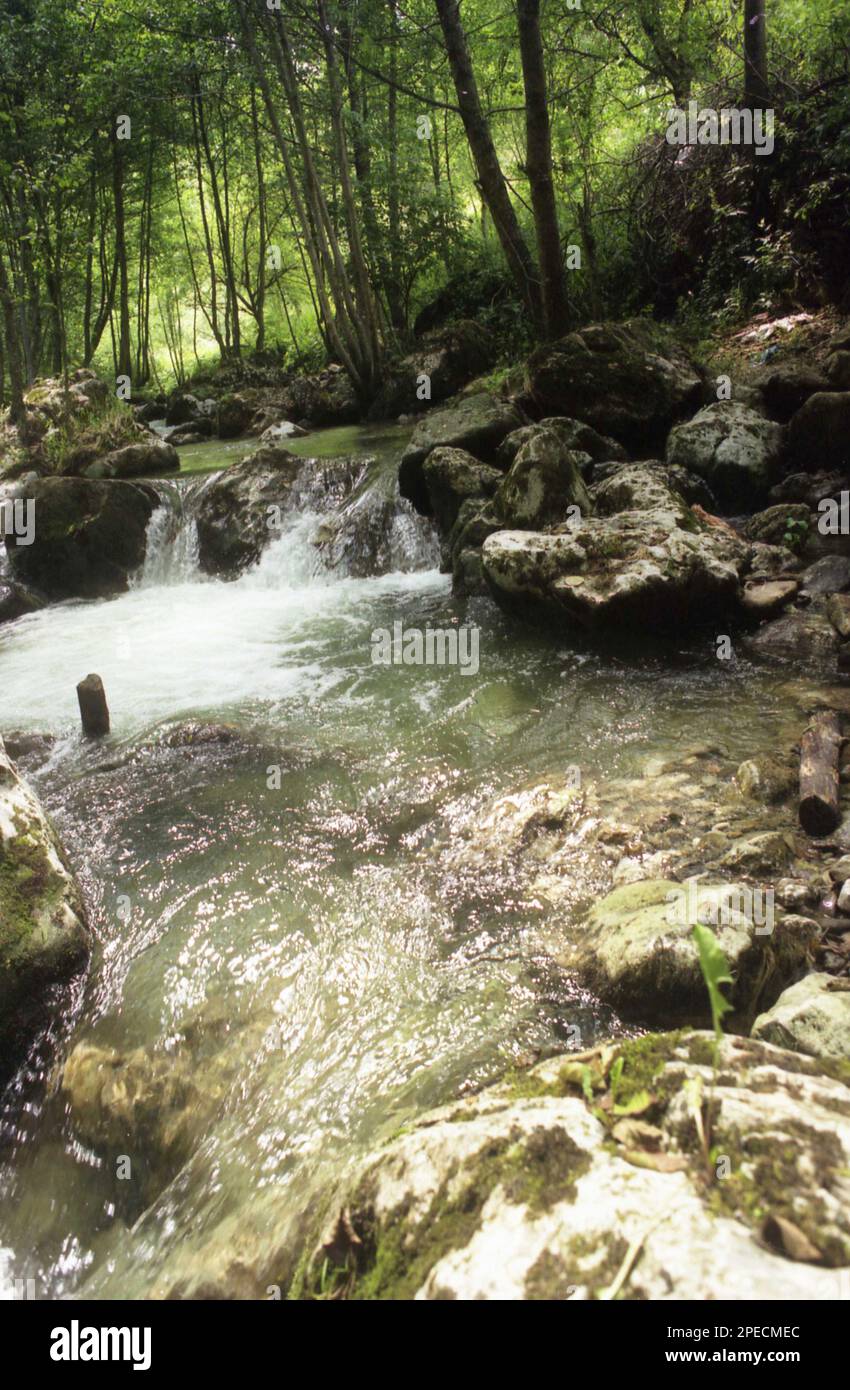 Montagnes trascaului Banque de photographies et d’images à haute résolution - Alamy