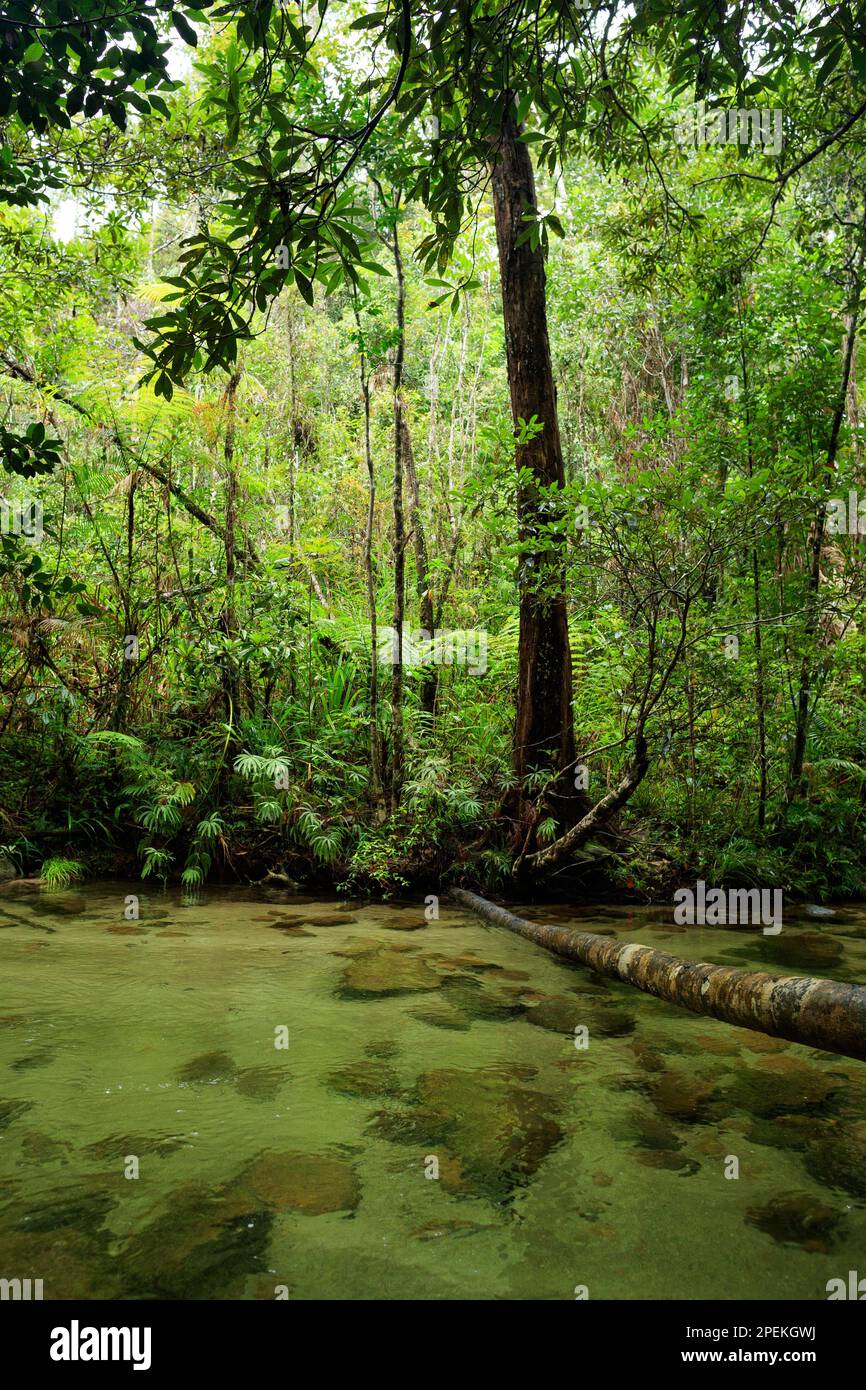Tully gorge national park Banque de photographies et d’images à haute ...
