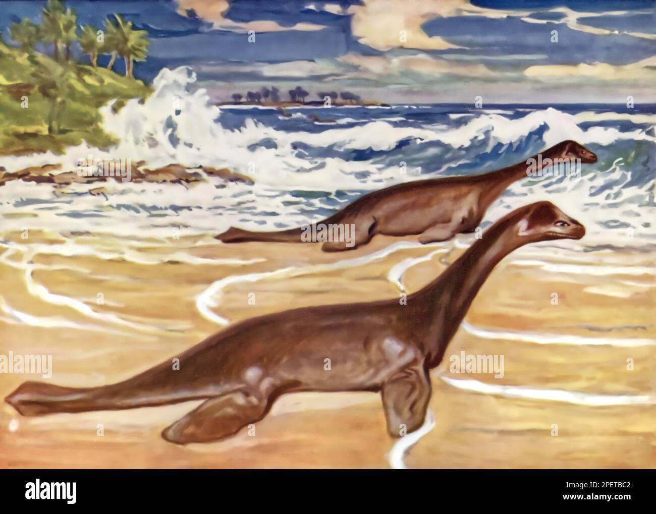 Plésiosaures sur une plage mésozoïque, c1937. Les Plesiosauria ou les ...