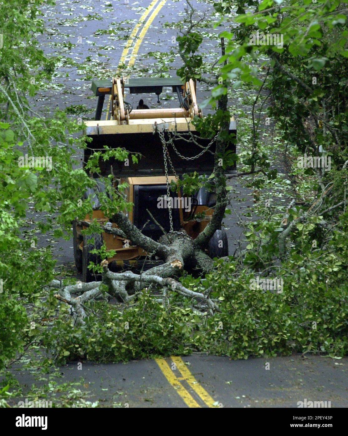 Park Ranger Gene Estoll uses heavy equipment to tow a tree limb ...