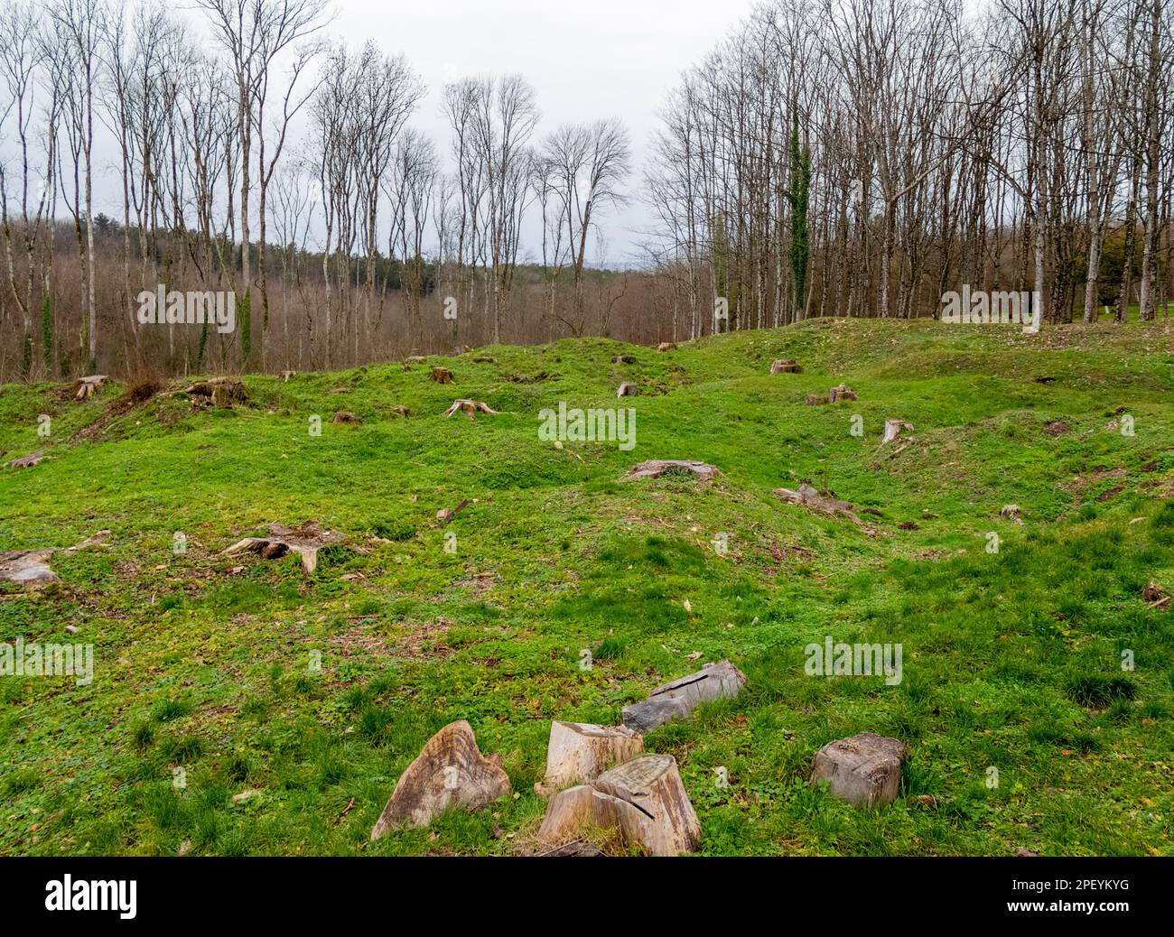Paysage autour de Fleury-devant-Douaumont, commune française, située ...