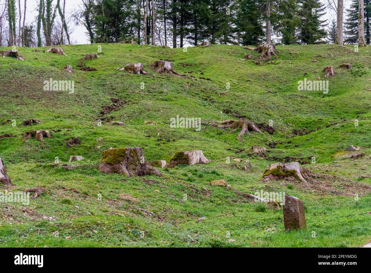 Paysage autour de Fleury-devant-Douaumont, commune française, située ...