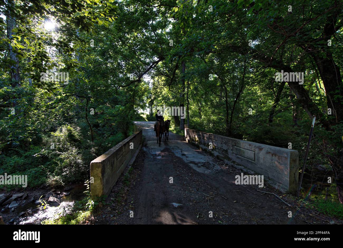 UNITED STATES - 4 juin 2019 : Michelle Leigh St Onge mène un cheval ...