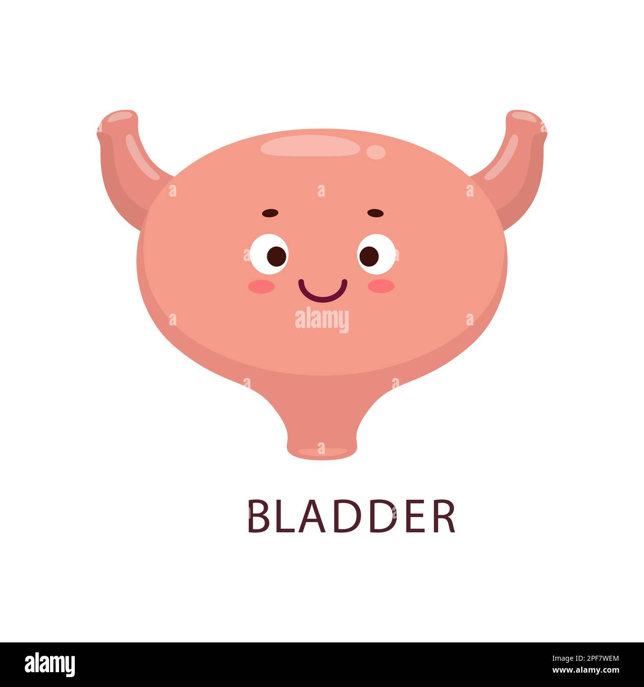 Bande dessinée vessie, corps humain organe caractère, vecteur drôle anatomie pour les enfants ...