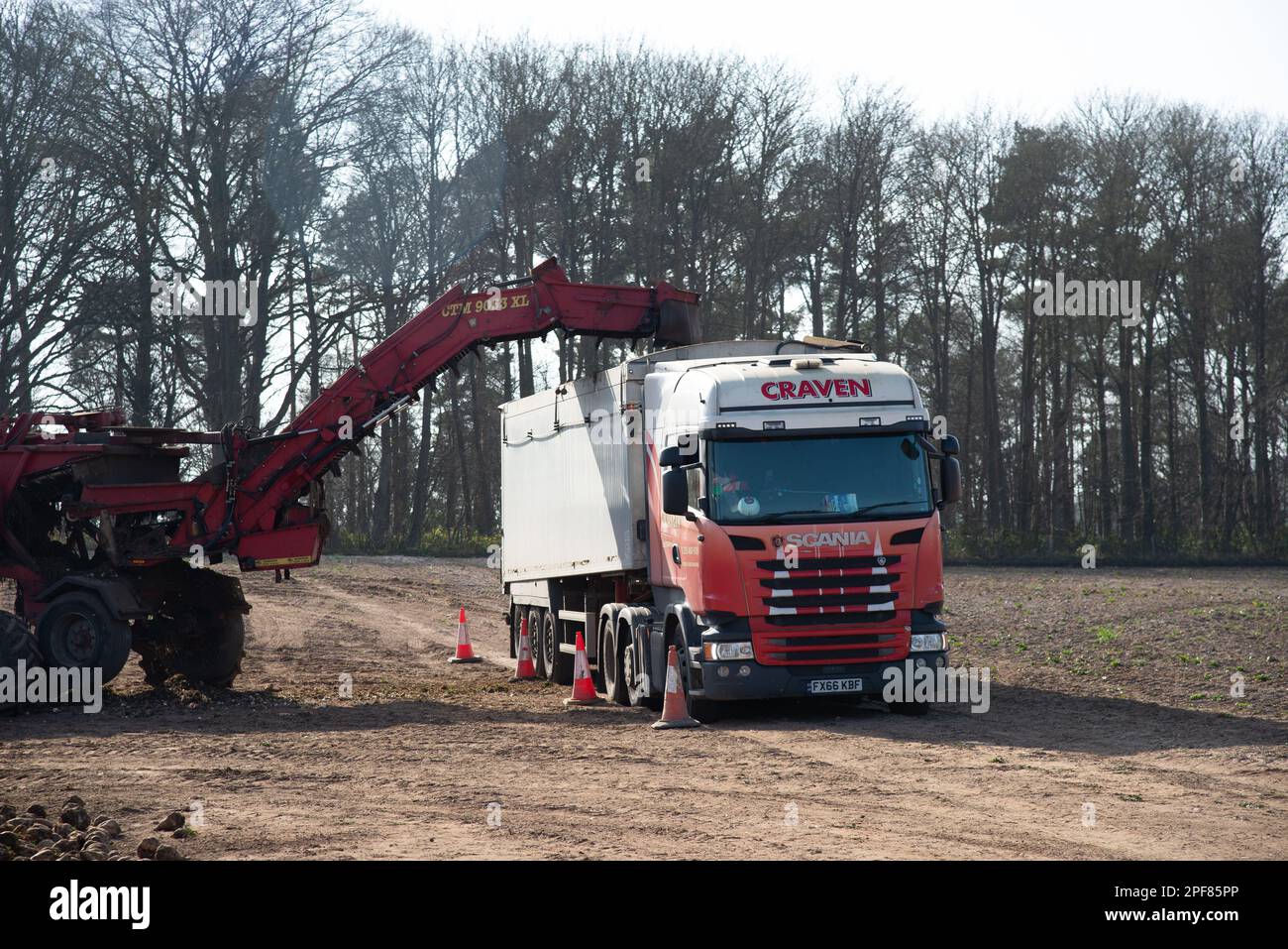 Un camion Scania tire une remorque de benne basculante à plancher ...