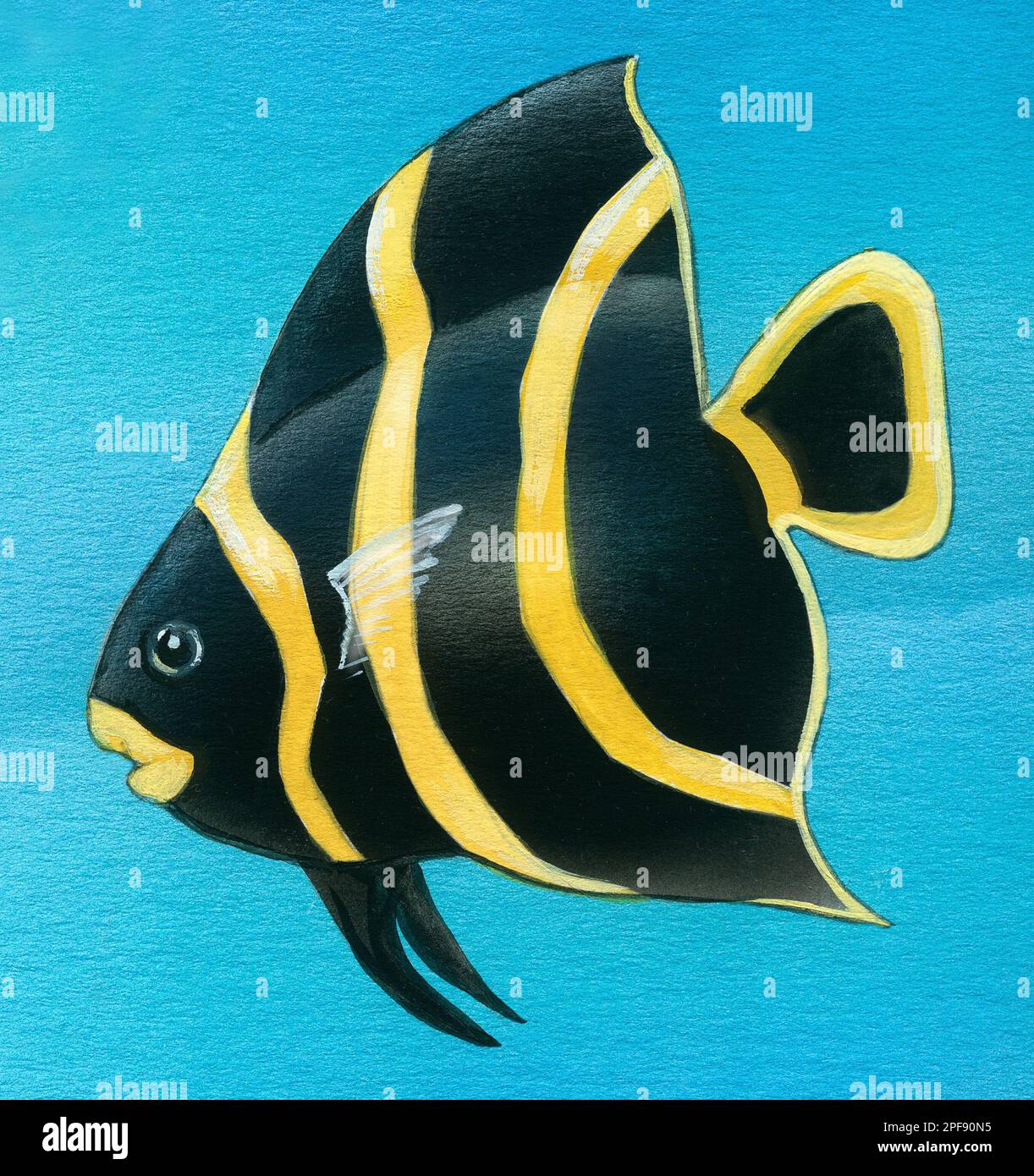 Poisson jaune à rayures bleues Banque de photographies et d’images à ...