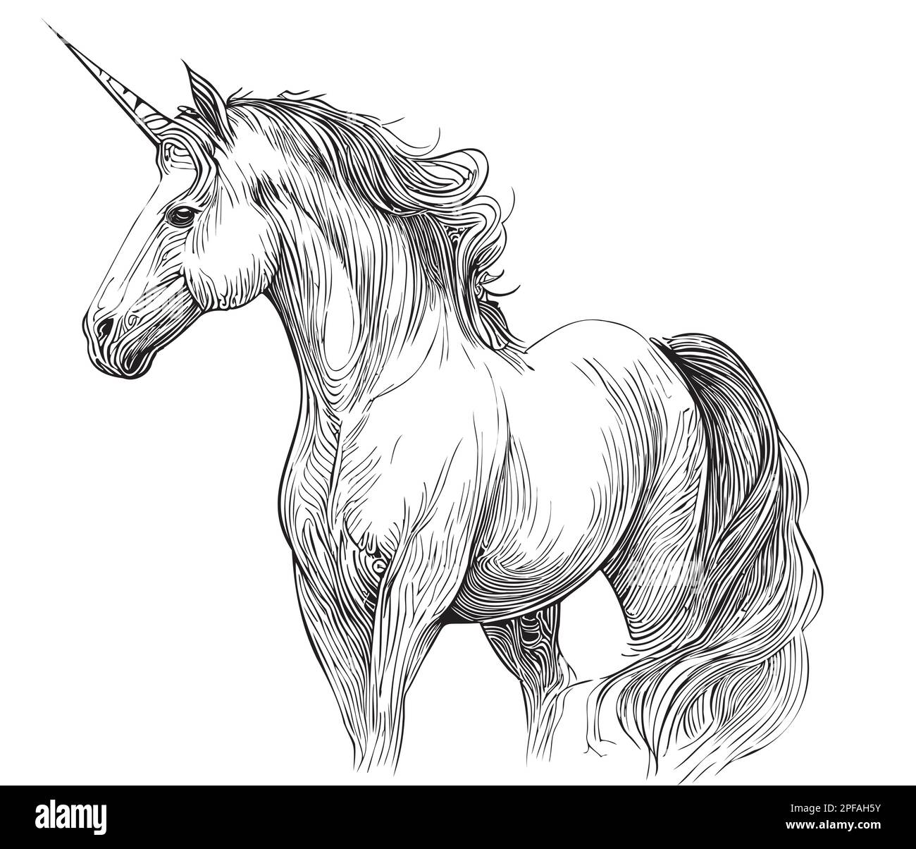 Licorne Mythique Chez Un Animal Magique Doodle Style