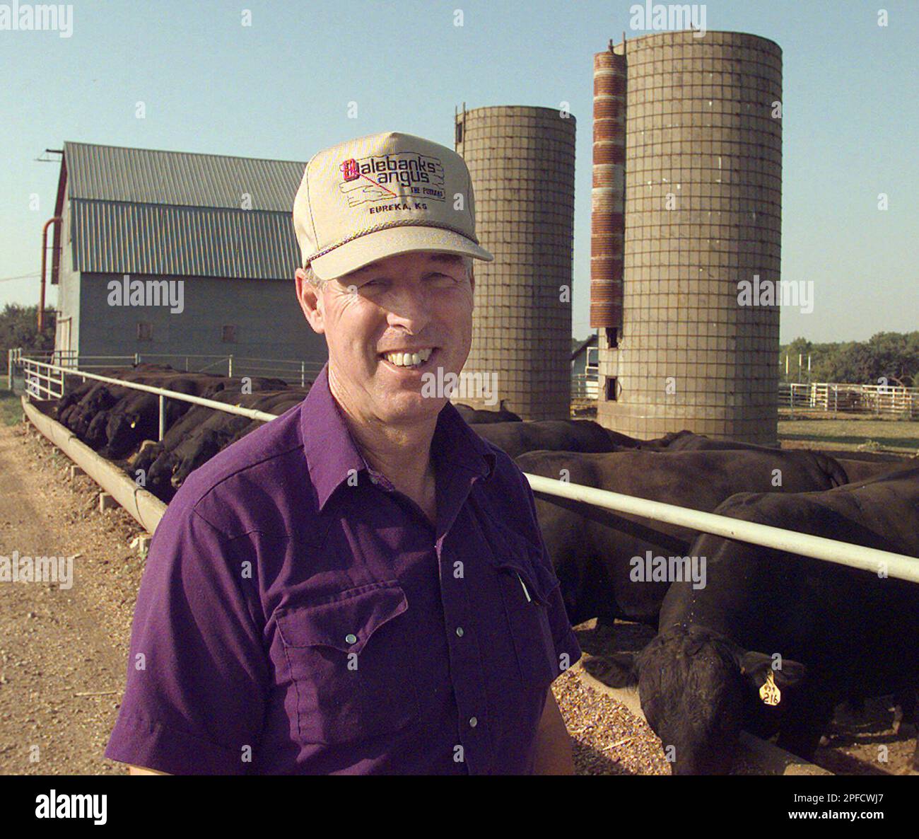 Rancher Tom Perrier stands next to a pen of bulls on his farm ...