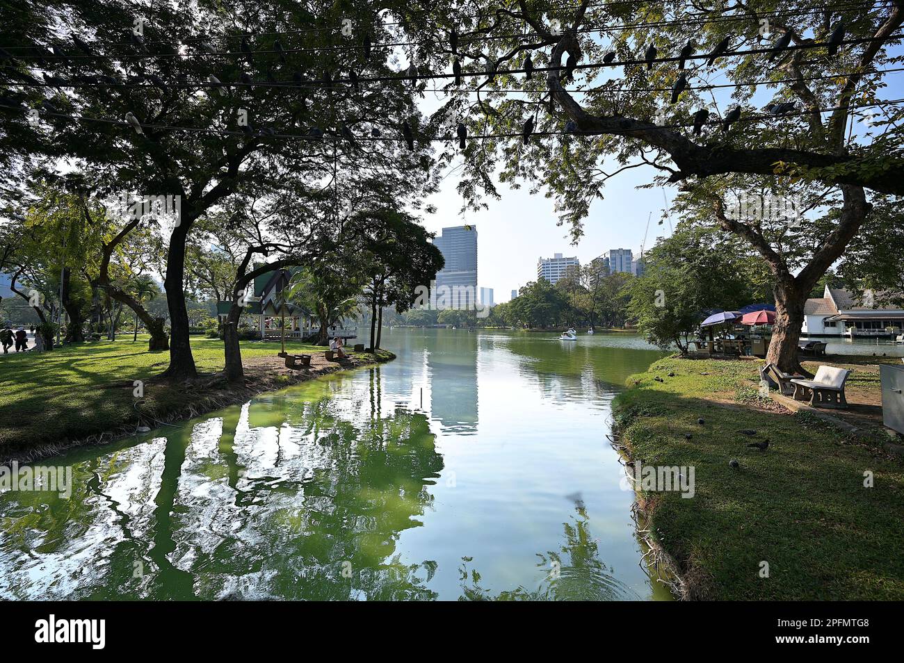Le parc Lumphini propose des espaces publics ouverts rares, des arbres ...