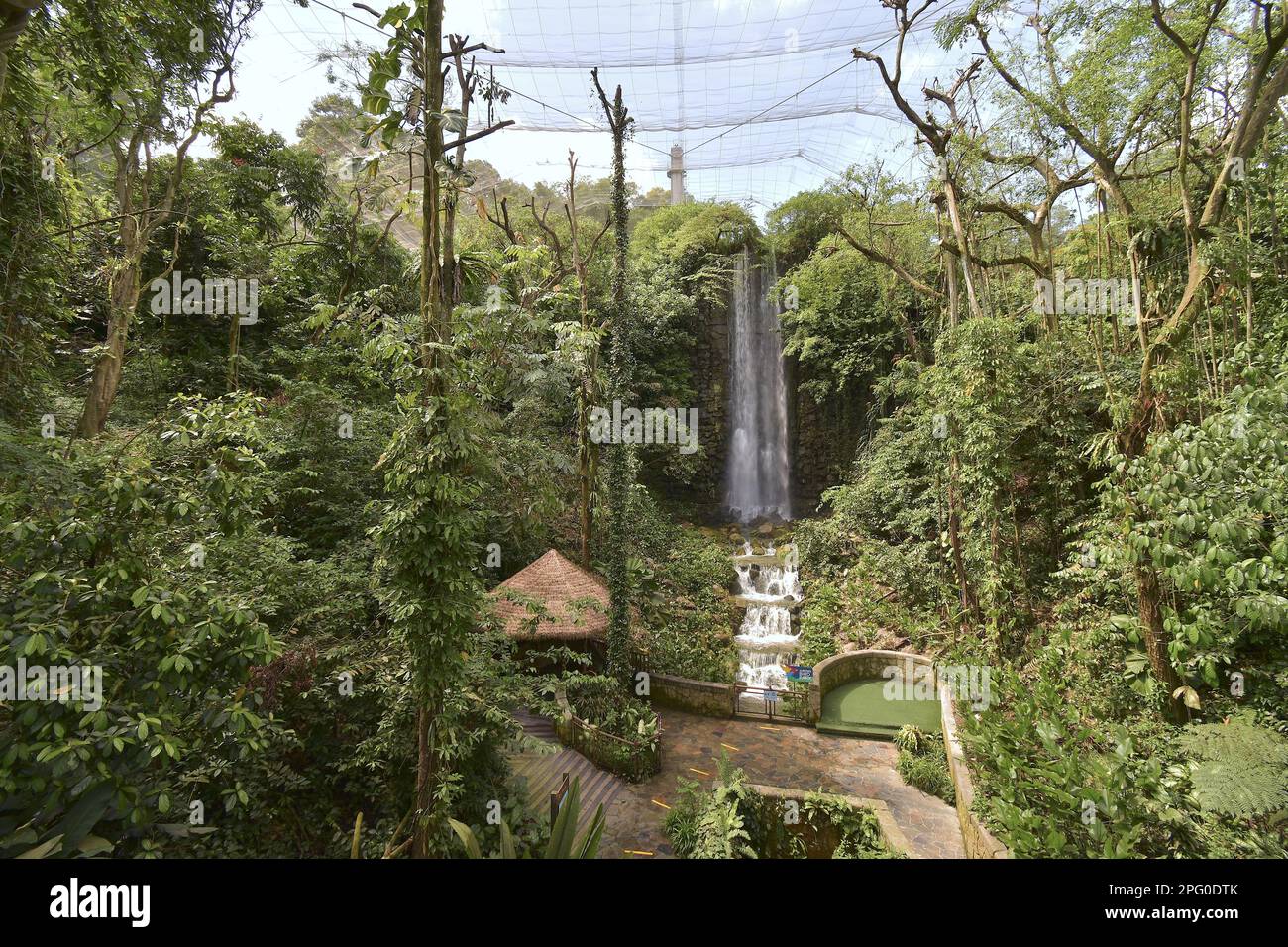 Vue sur le Waterfall Aviary à l'ancien Jurong Bird Park de Singapour ...