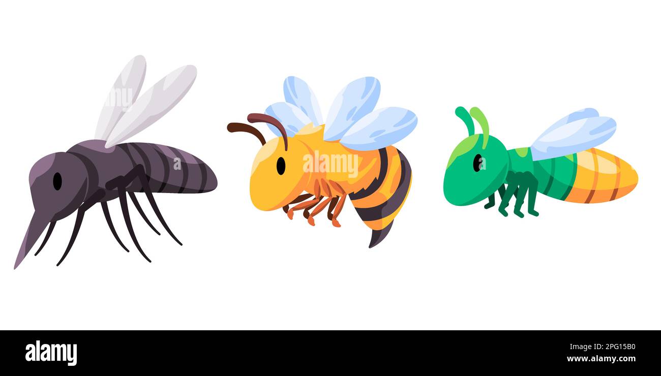 Ensemble d'illustrations de dessin d'insectes et d'insectes de style ...